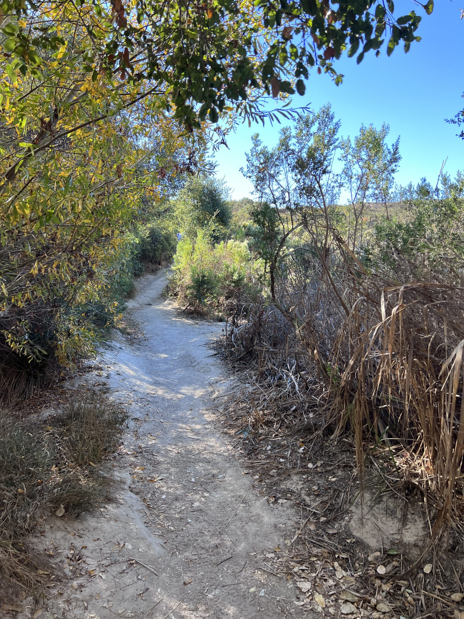 Hiking Trails around Ocean Hills Country Club